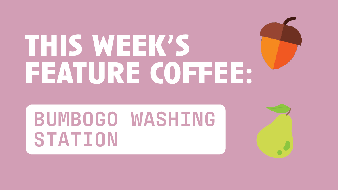 [Video Transcript] The Weekly: Bumbogo Washing Station by Timely Coffees