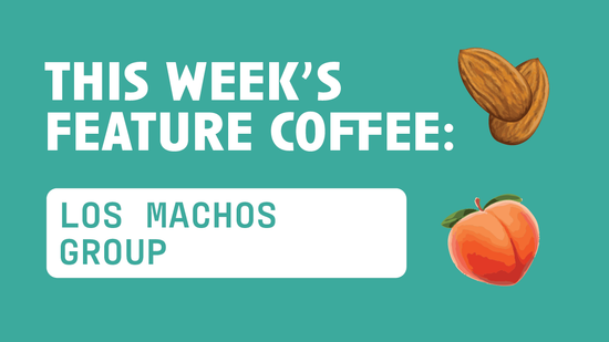 [Video Transcript] Los Machos Group by Timely Coffees
