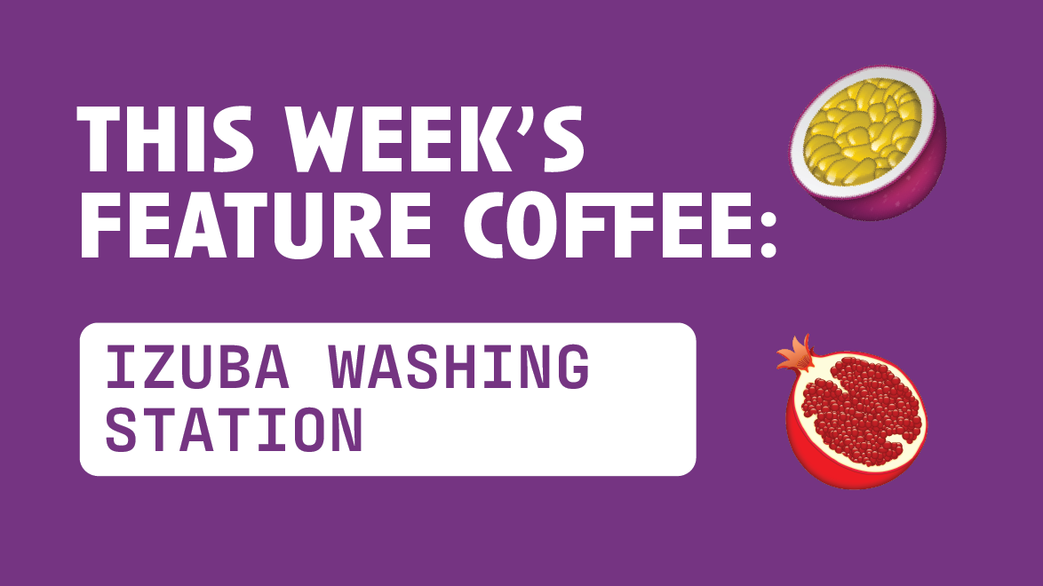 [Video Transcript] The Weekly: Izuba Washing Station by Timely Coffees