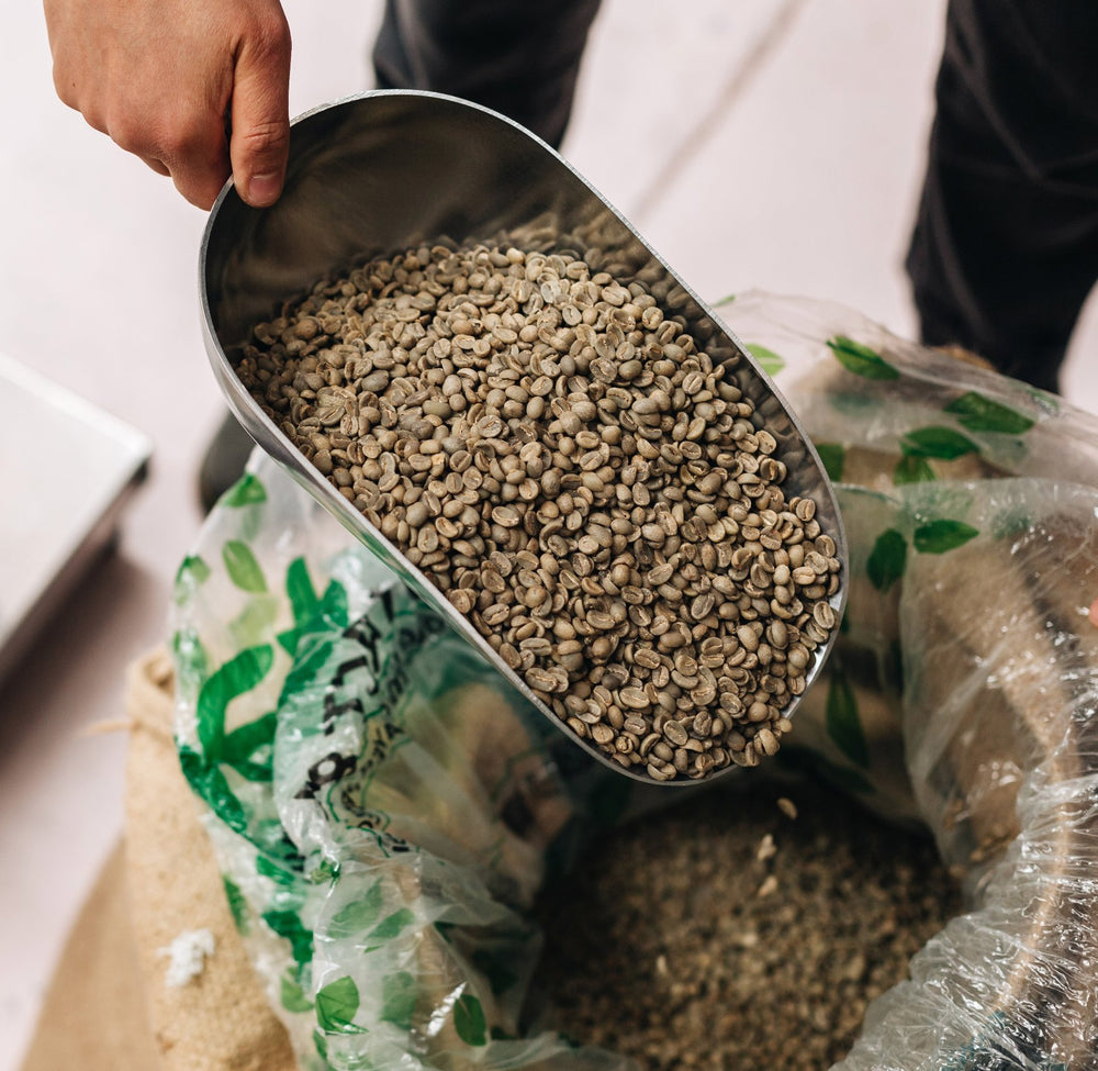 Timely Coffees - Coffee You Can Be Proud Of | Timely Coffees