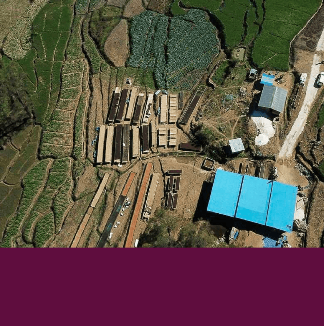 Atsabe Subdistrict (Natural) | Timely Coffees